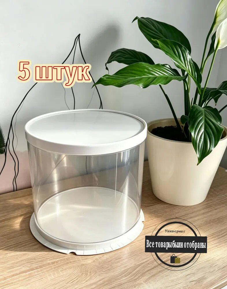 Коробка для продуктов, 26 см х 26 см х 25 см, 5 шт