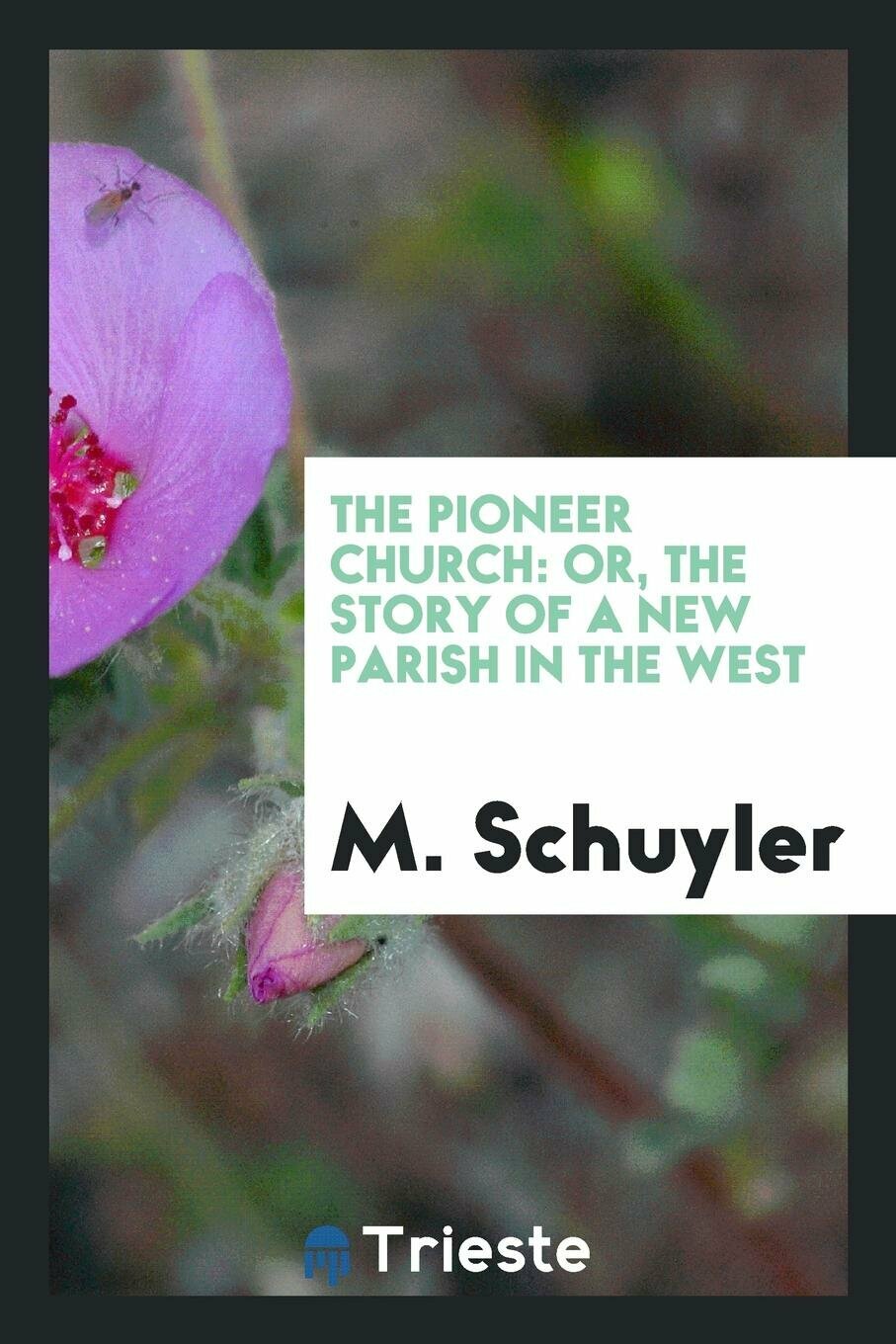 The Pioneer Church. Or, the Story of a New Parish in the West