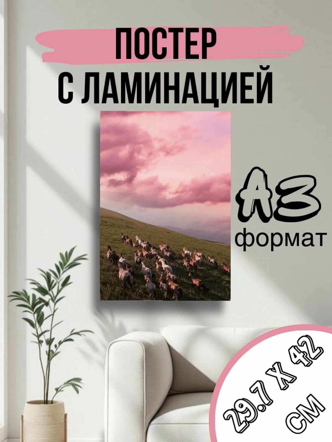 Постер