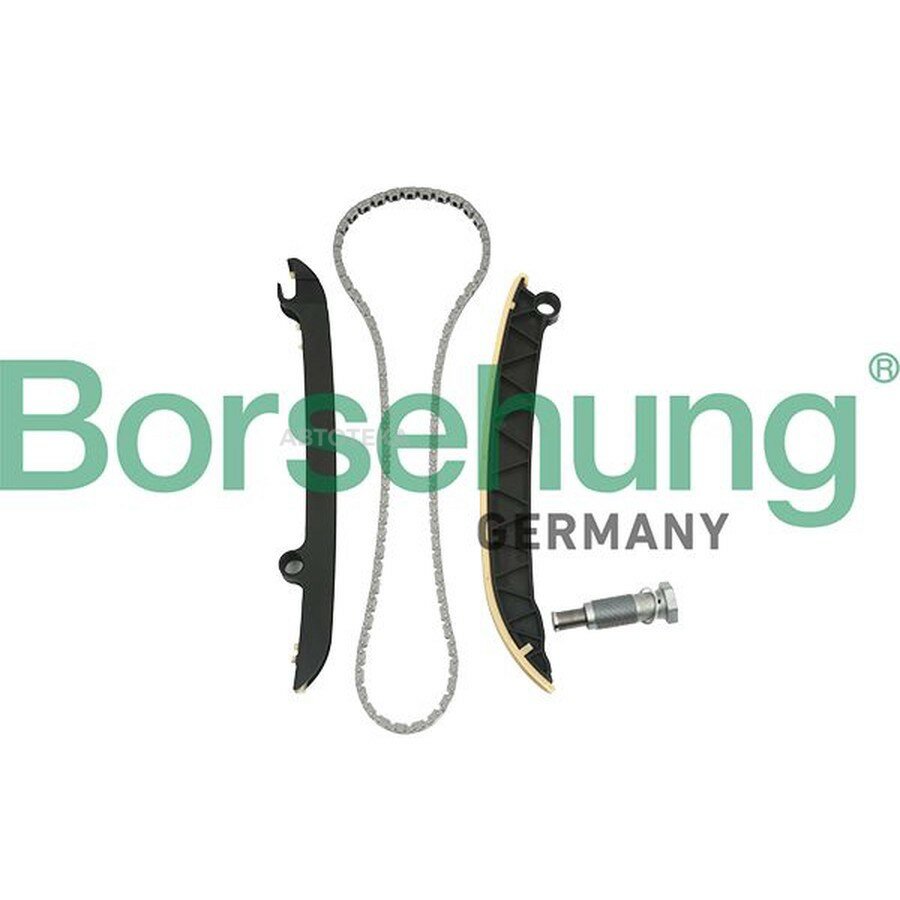 Цепь грм (комплект) BORSEHUNG B18843