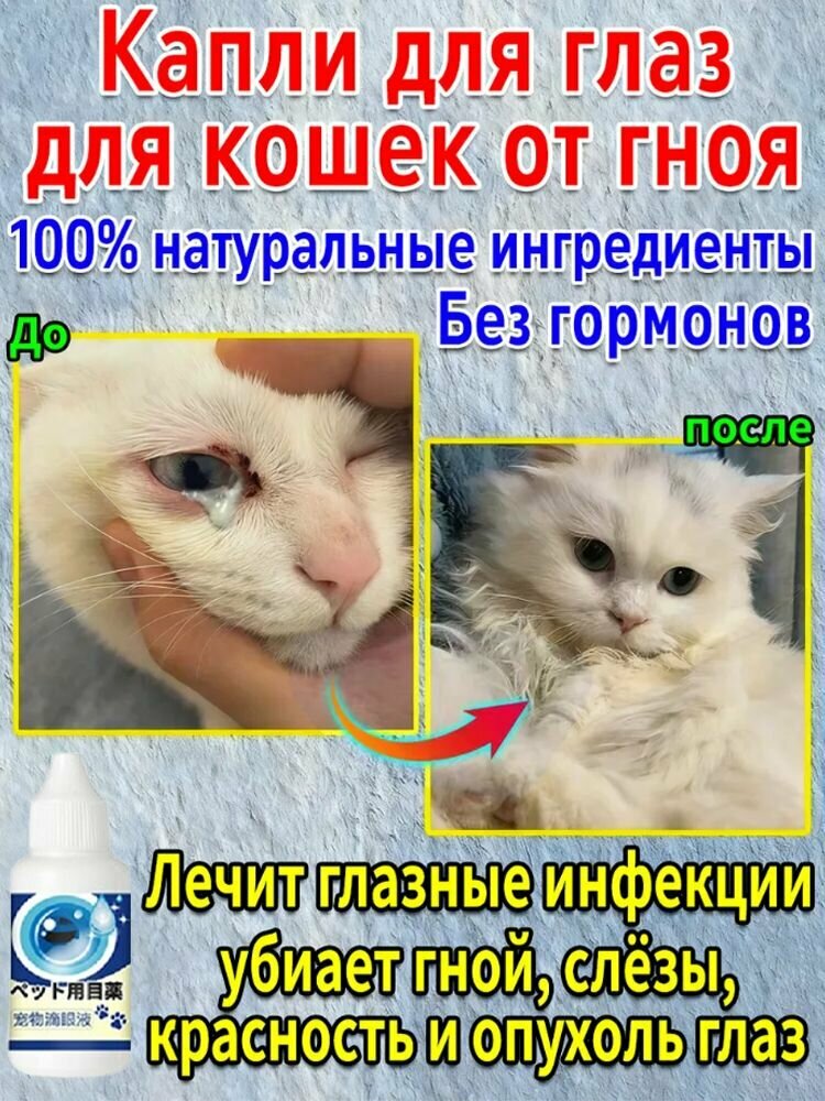 Капли для глаз для собак и кошек от гноя