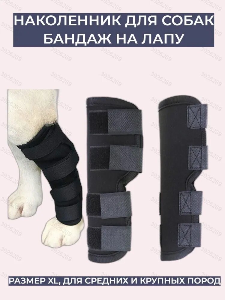 Наколенник для собак XL, ветеринарный ортез на заднюю лапу, бандаж для коленного сустава, фиксатор суставов
