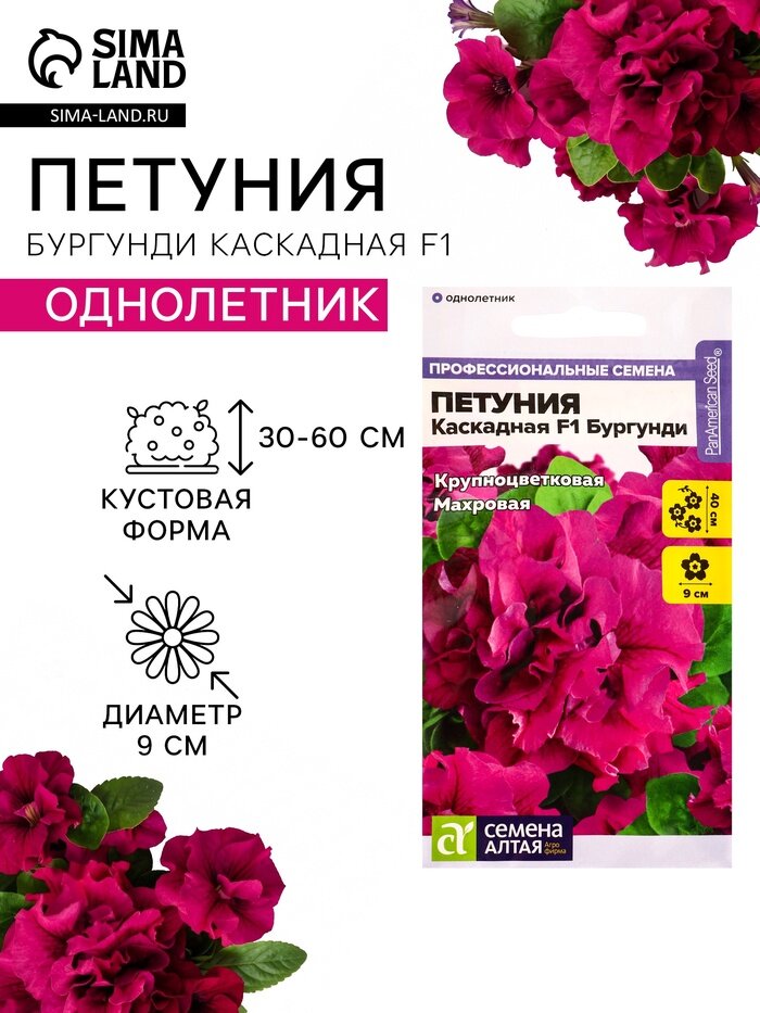 Семена цветов Петуния «Бургунди Каскадная», F1, махровая, 7 шт, «Семена Алтая»