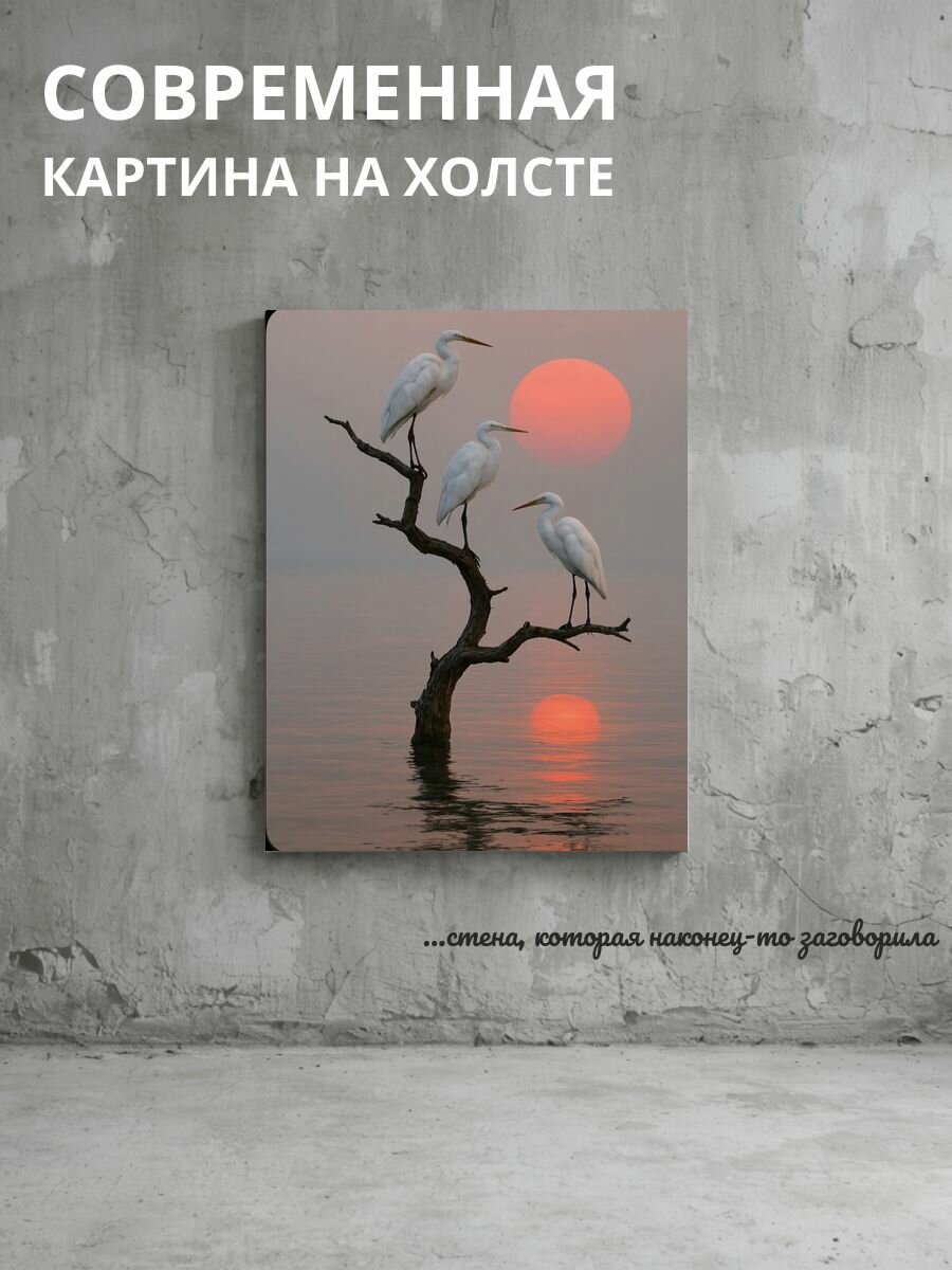 Картина на холсте Три белые птицы 50x70 см