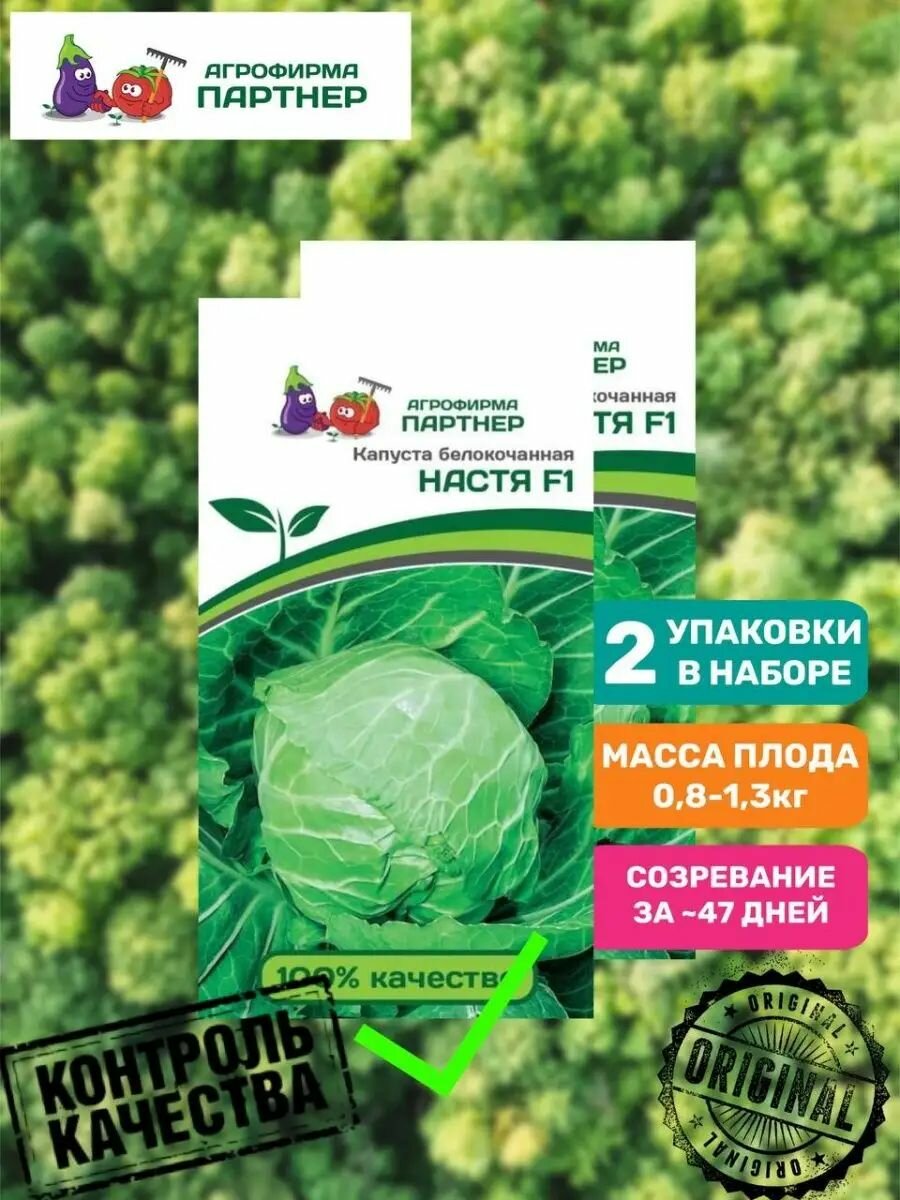 Капуста б/к настя F1, (0,2г), 2 уп.