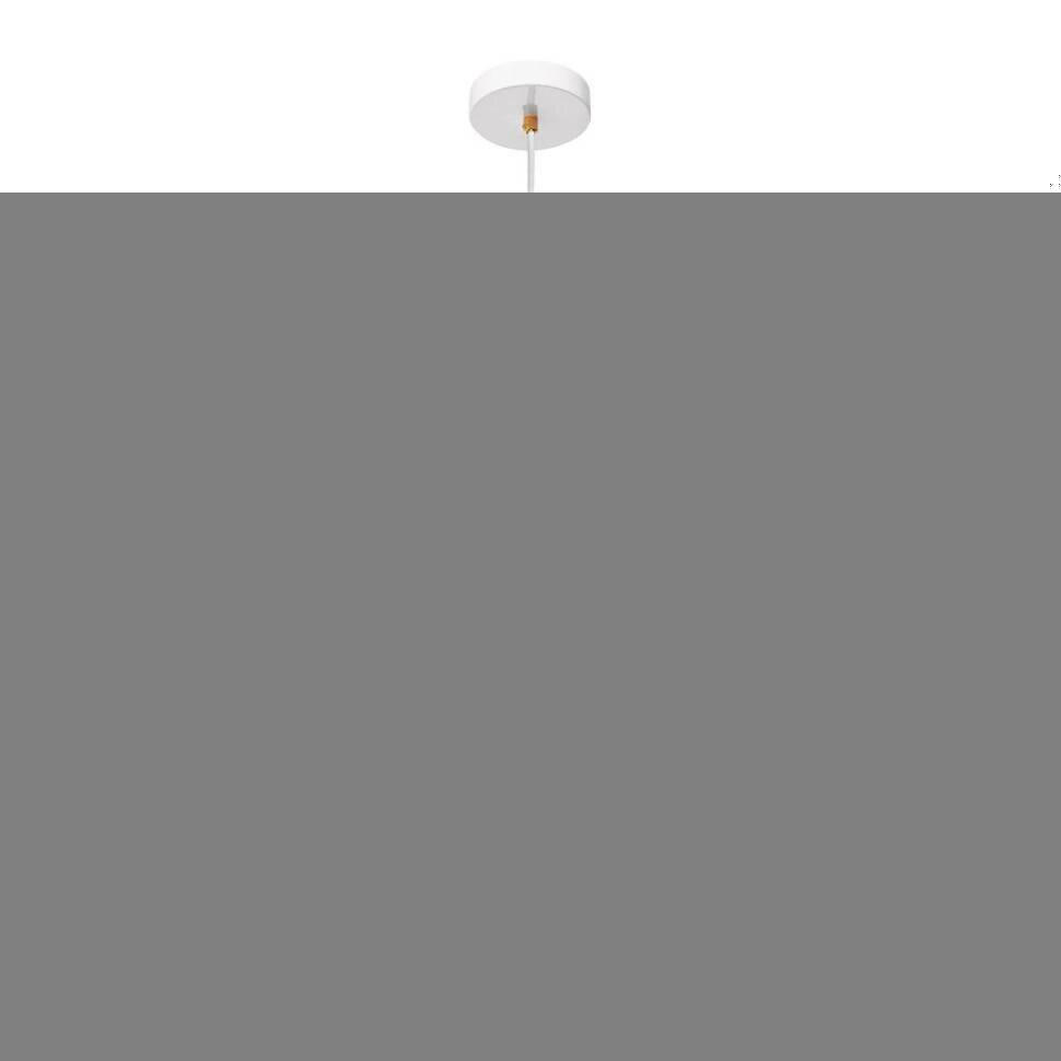 9975-A Подвесной светильник LOFT IT Parachilna