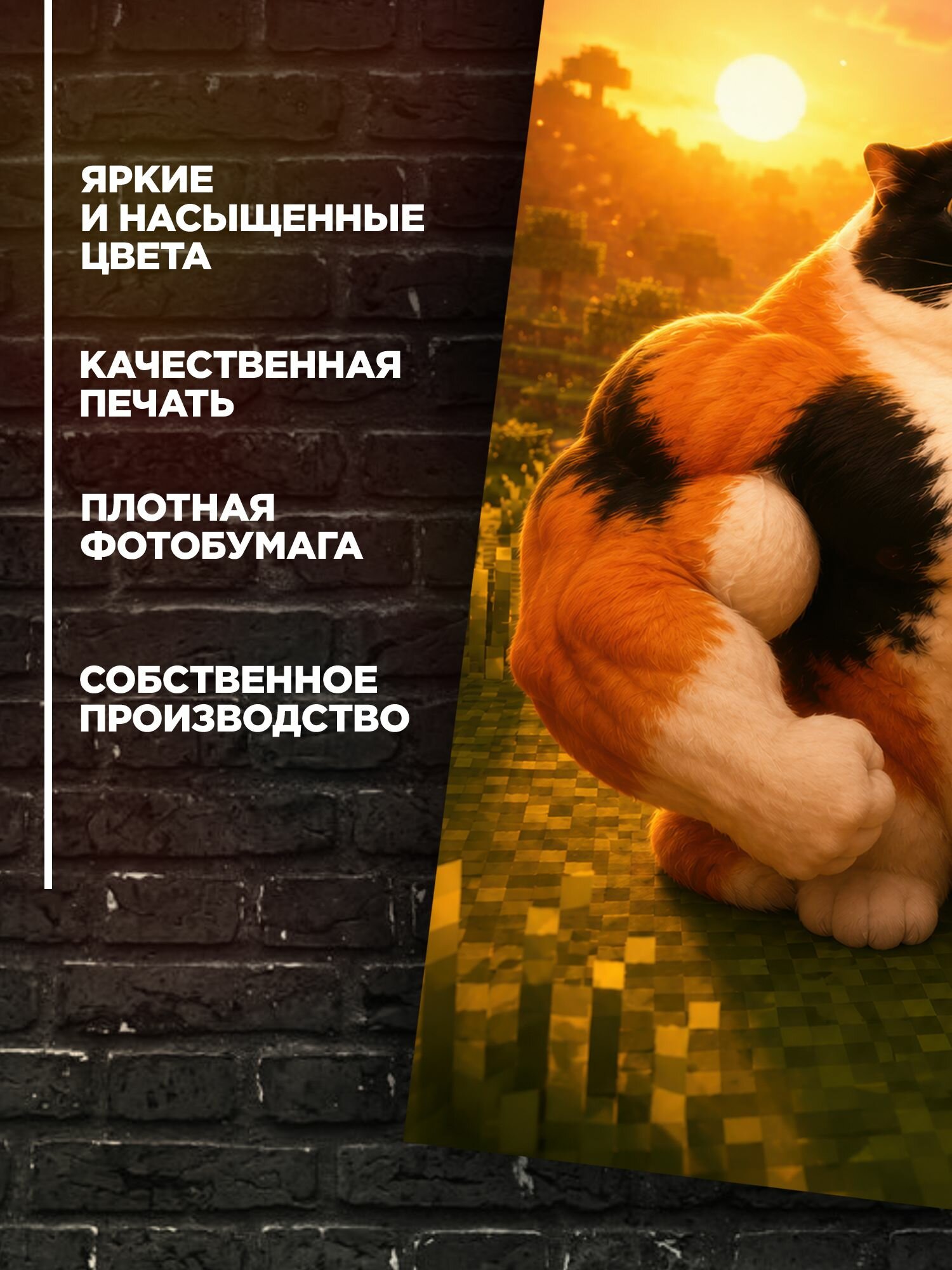 Постер на стену Котость мем — фото 1