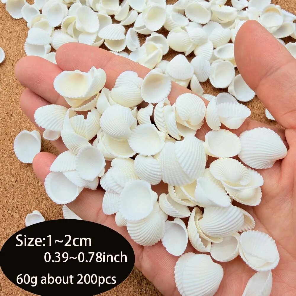 Маленькие белые ракушки для рукоделия 60G about200pcs