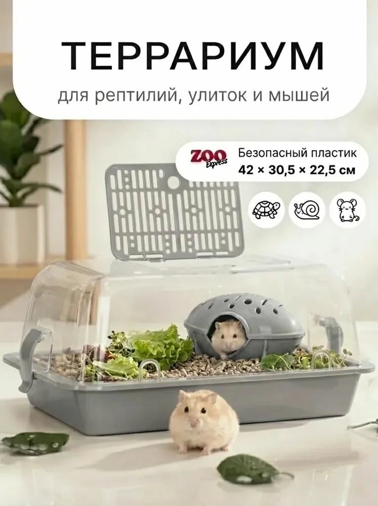 Средний террариум 40х27х18 см для улиток, черепах, мелких грызунов, серый с прозрачной крышкой
