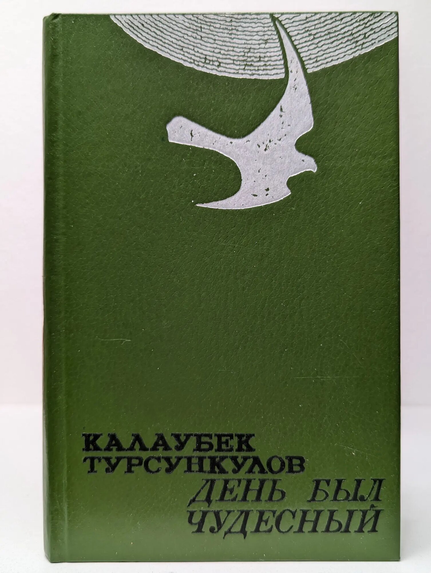 День был чудесный Турсункулов Калаубек Кудайбергенович 1982