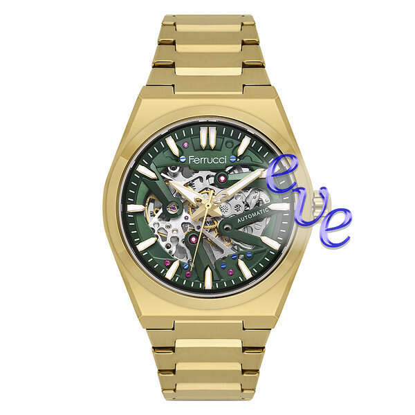 Наручные часы Ferrucci 3532-03