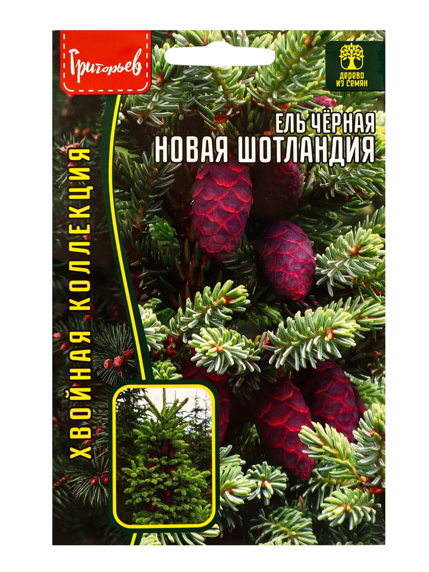 Семена Ель чёрная "Новая Шотландия", 20 шт, посев (посадка) в грунт: апрель