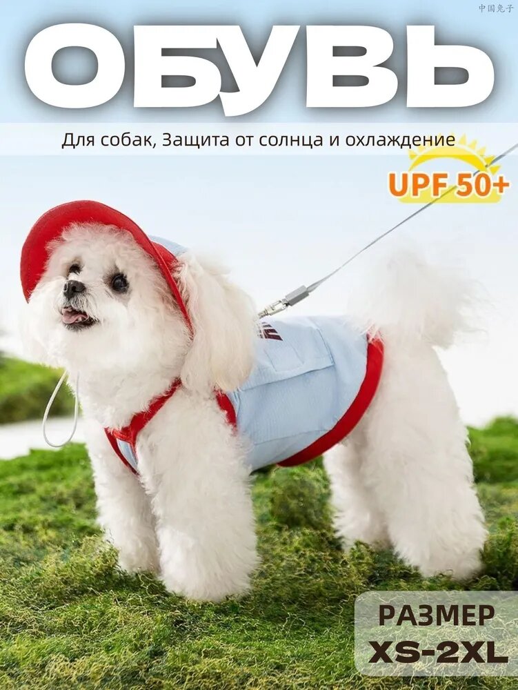 Охлаждающая одежда для питомцев