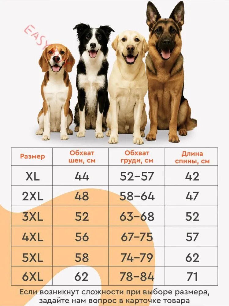 Одежда для животных — фото 1