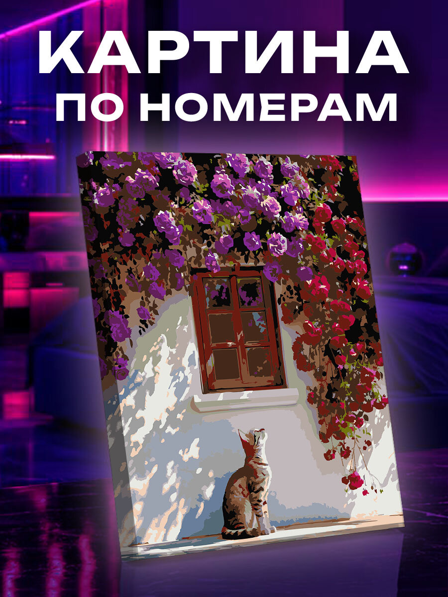 Картина по номерам Котёнок у цветущего окна