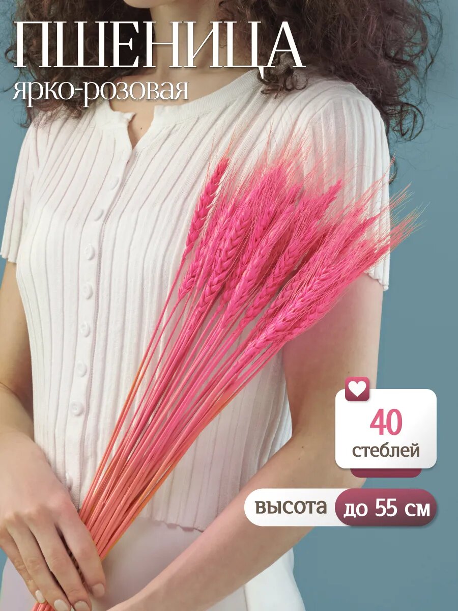 Пшеница ярко-розовая 40 шт, сухоцветы для декора и интерьера