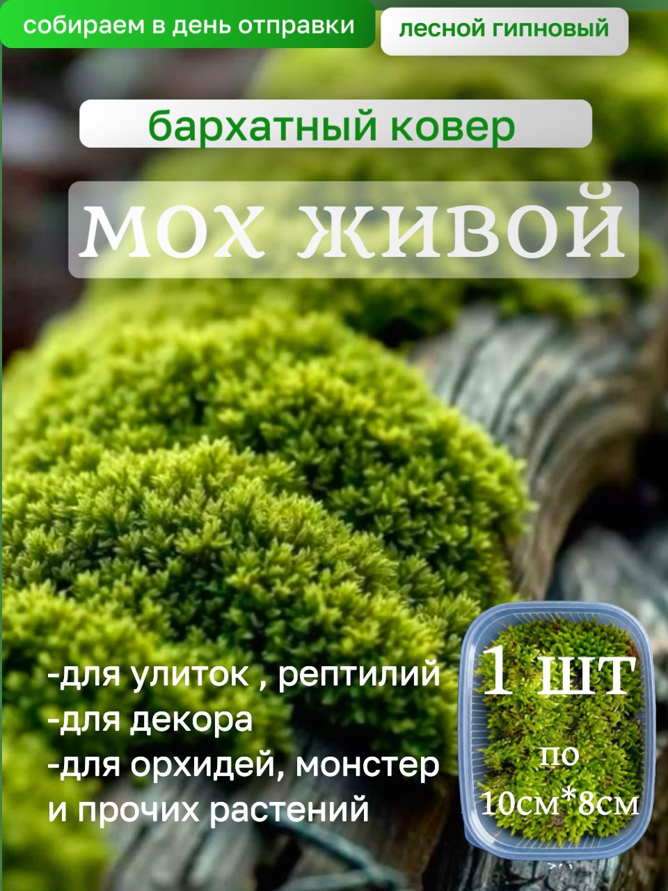Мох лесной для террариумов , растений и декора