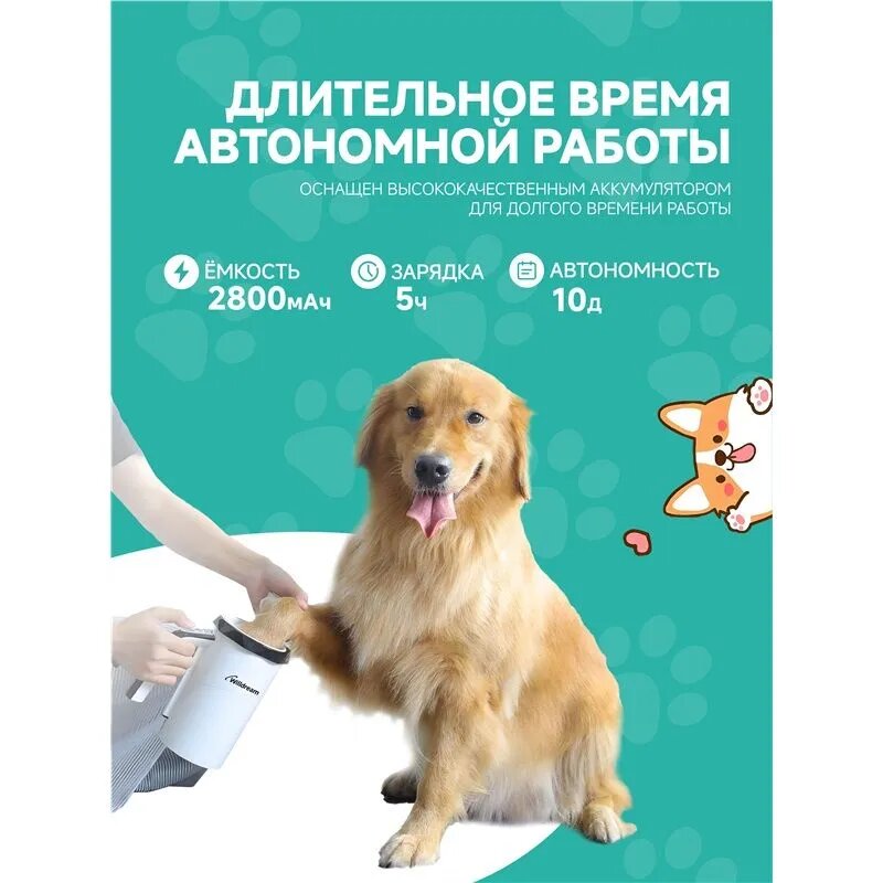 Лапомойка — фото 1