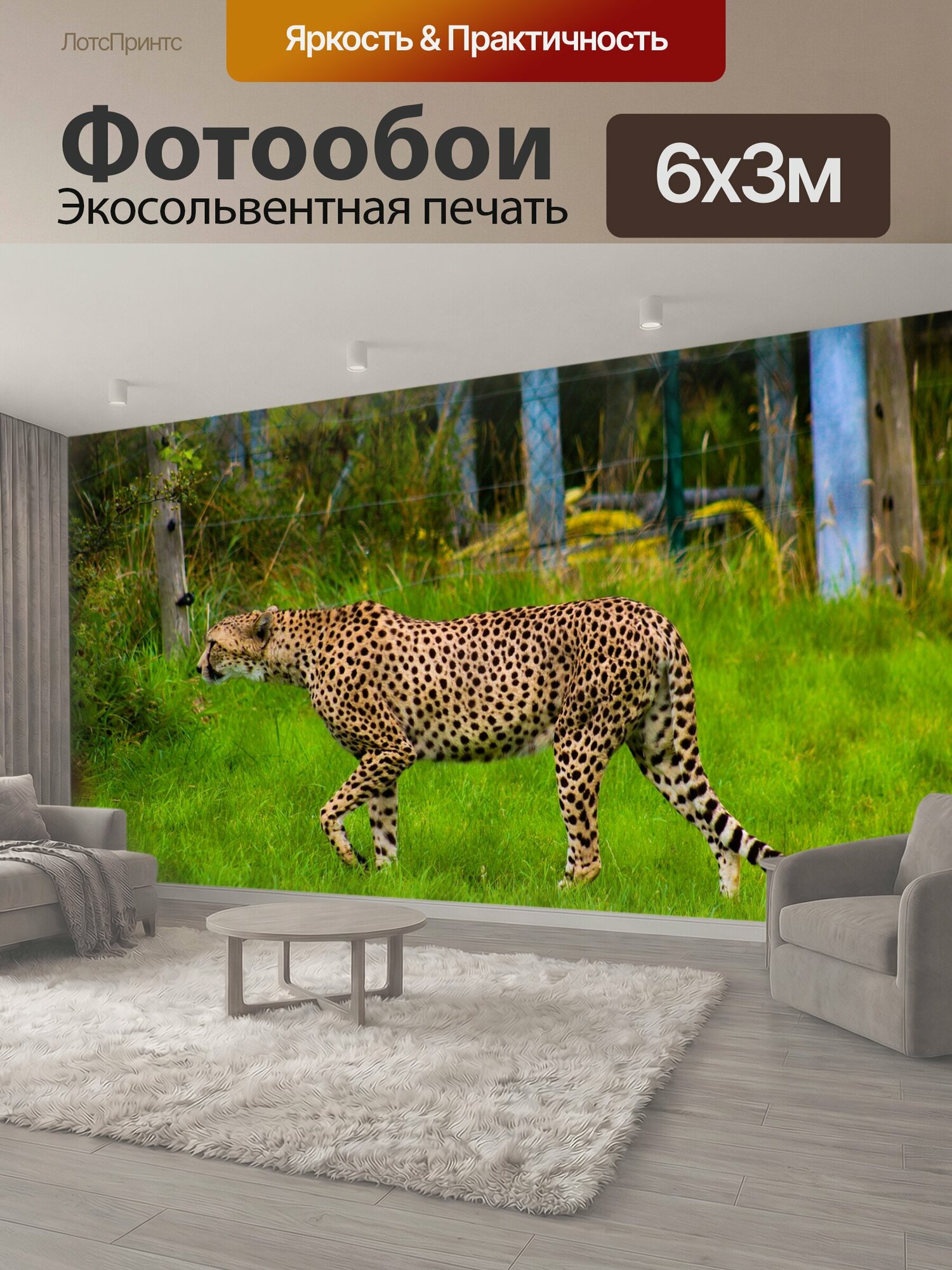 Фотообои "Гепард, животное, зоопарк" 600x300 см. экосольвентная печать
