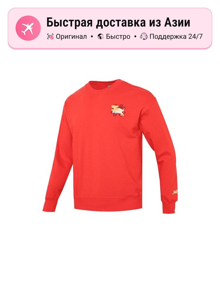 Толстовка PUMA PUMA 7399133, 1 шт.
