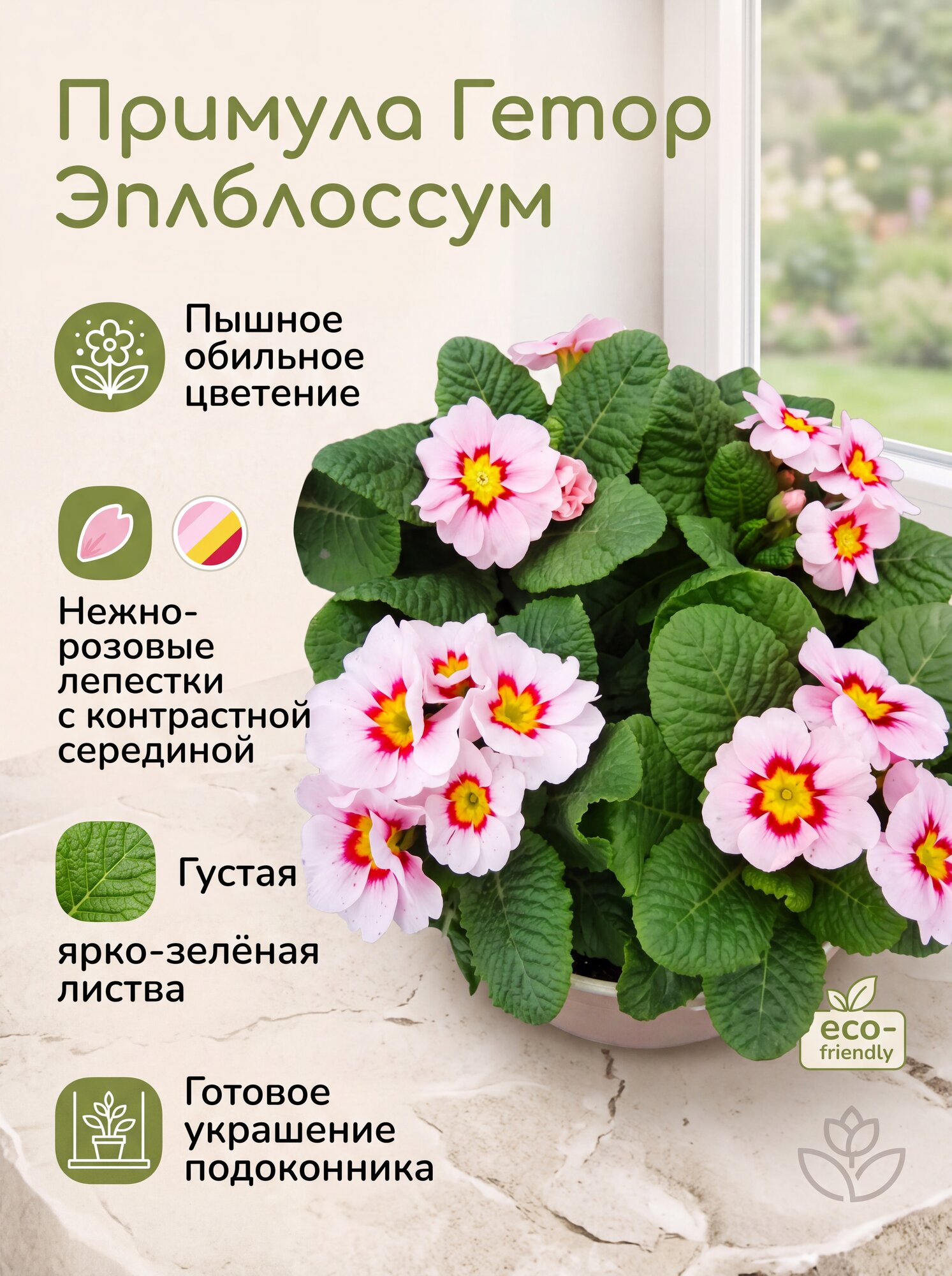 Примула Гетор Эплблоссум