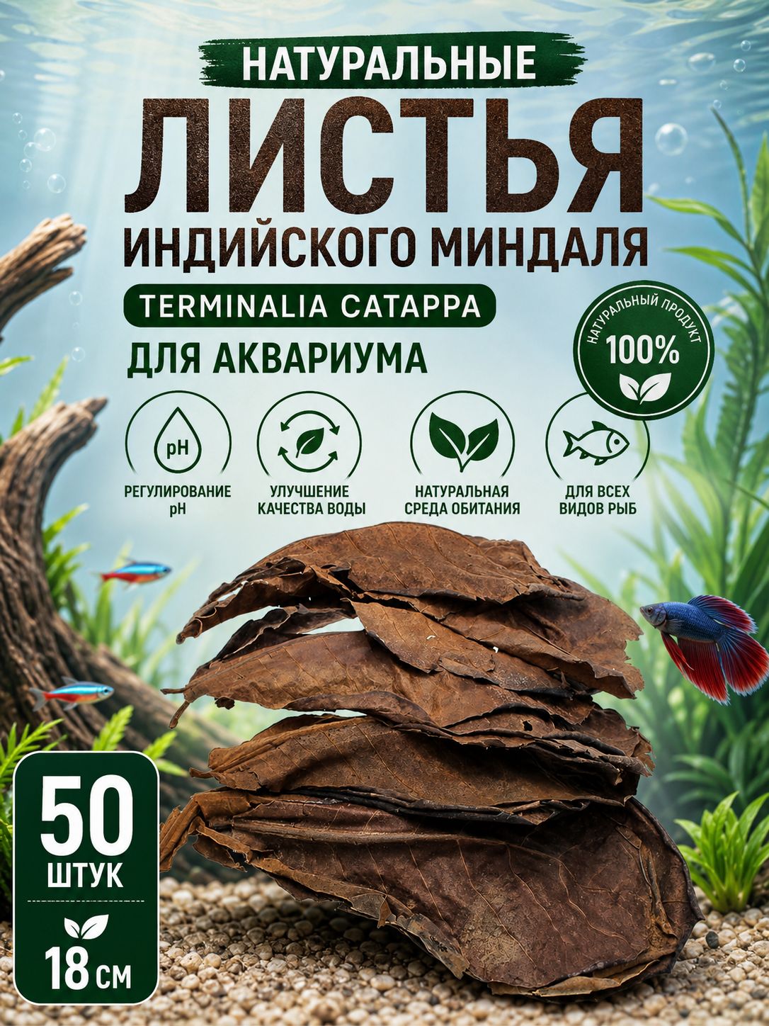 Листья индийского миндаля (Terminalia catappa, терминалия катаппа) для аквариума 50 шт. 18 см.