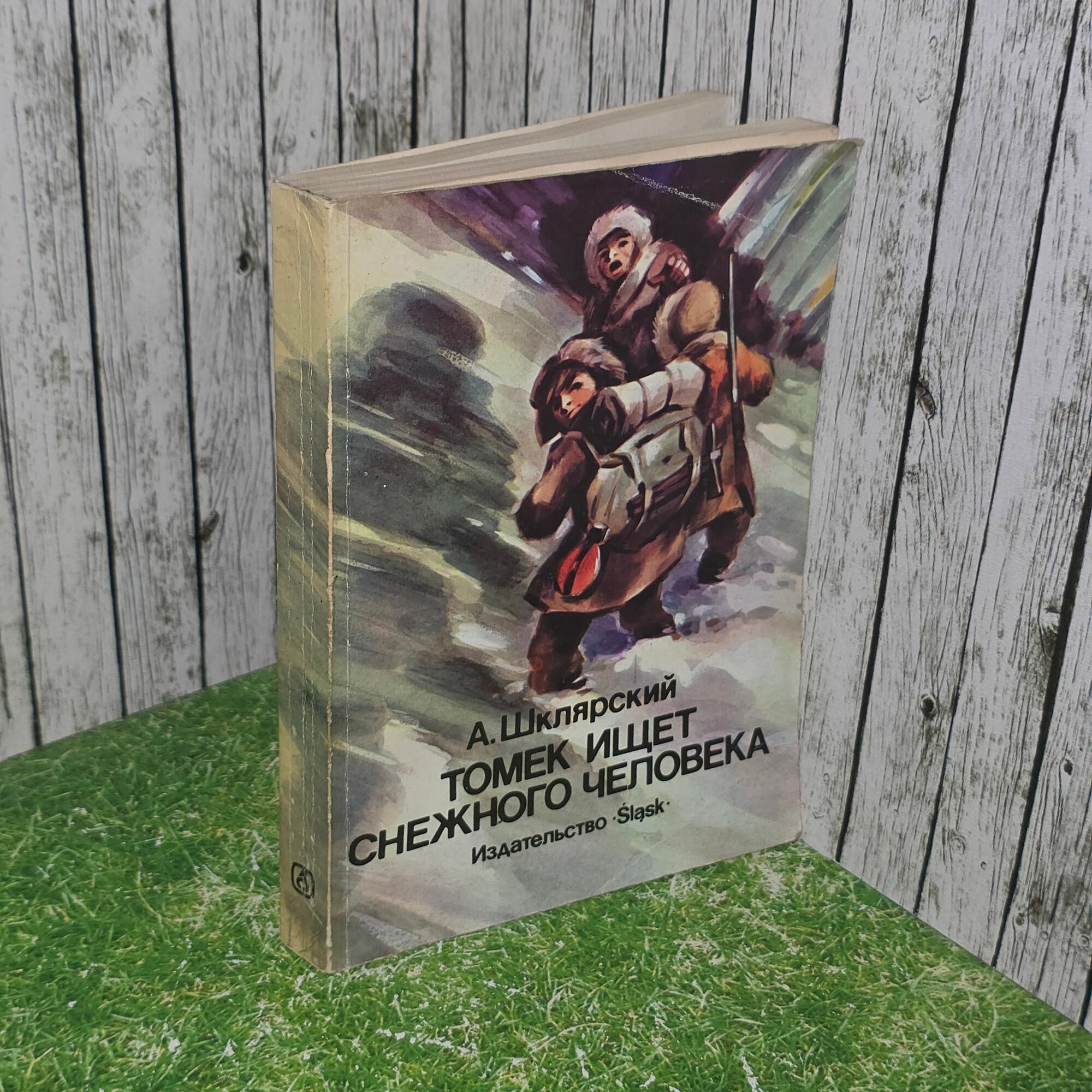 Книга "Томек ищет снежного человека"