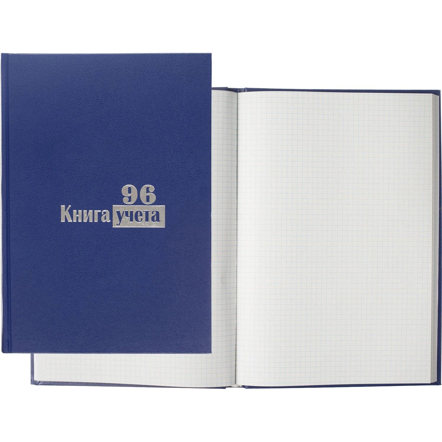 Выбор есть Книга учета 96 листов А4 в клетку блок типографская бумага Выбор есть (обложка из бумвинила)