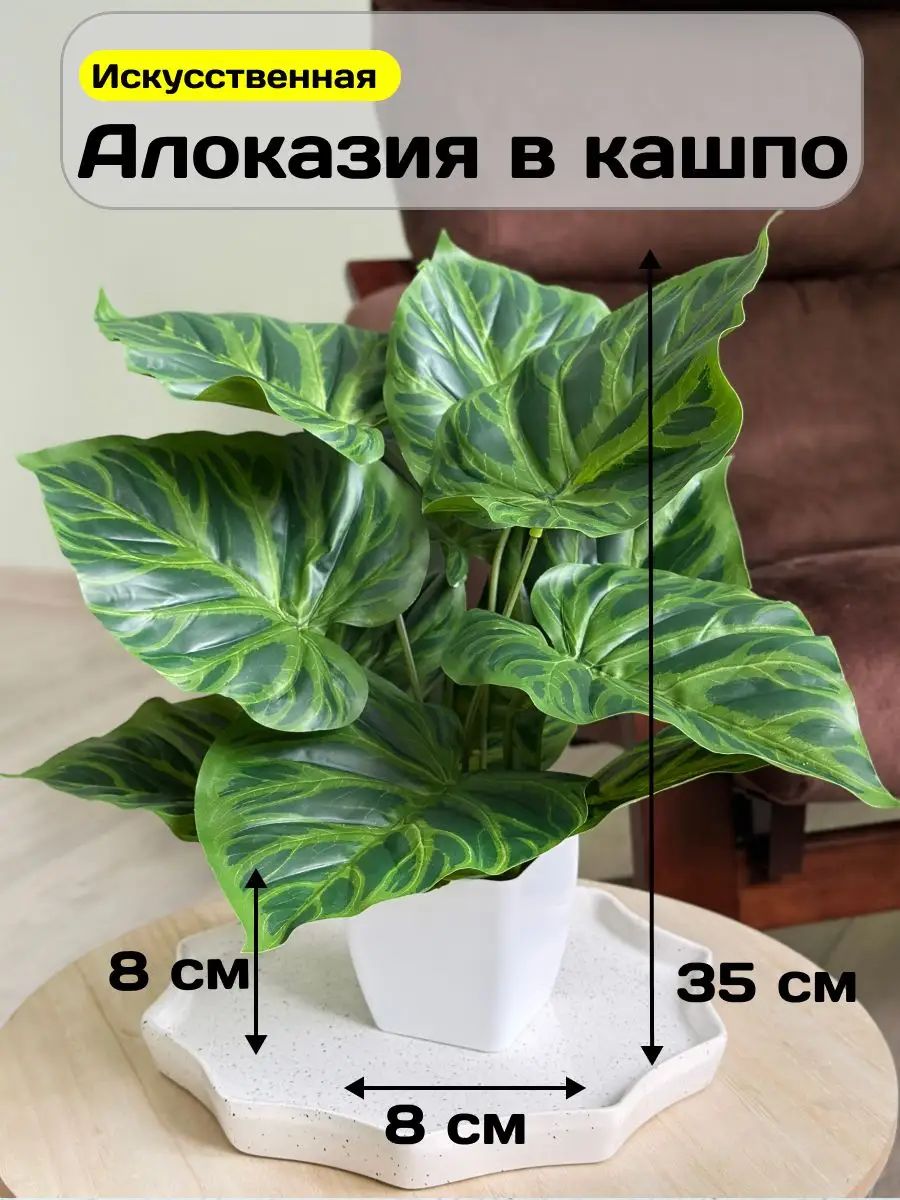 Искусственные цветы Алоказия 1 шт белый