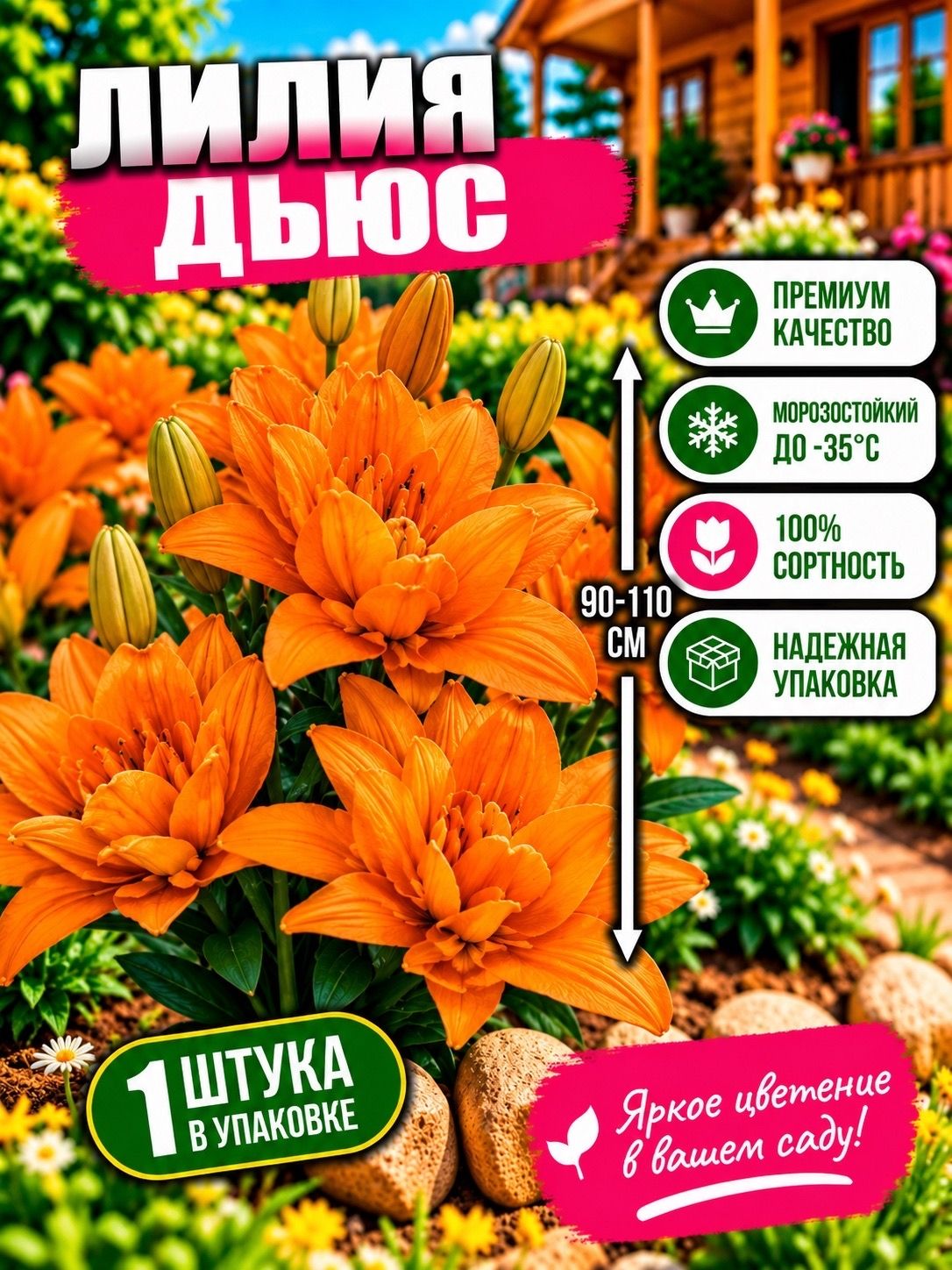 Луковица лилии "Дьюс", в количестве 1 шт. в упаковке, морозостойкий