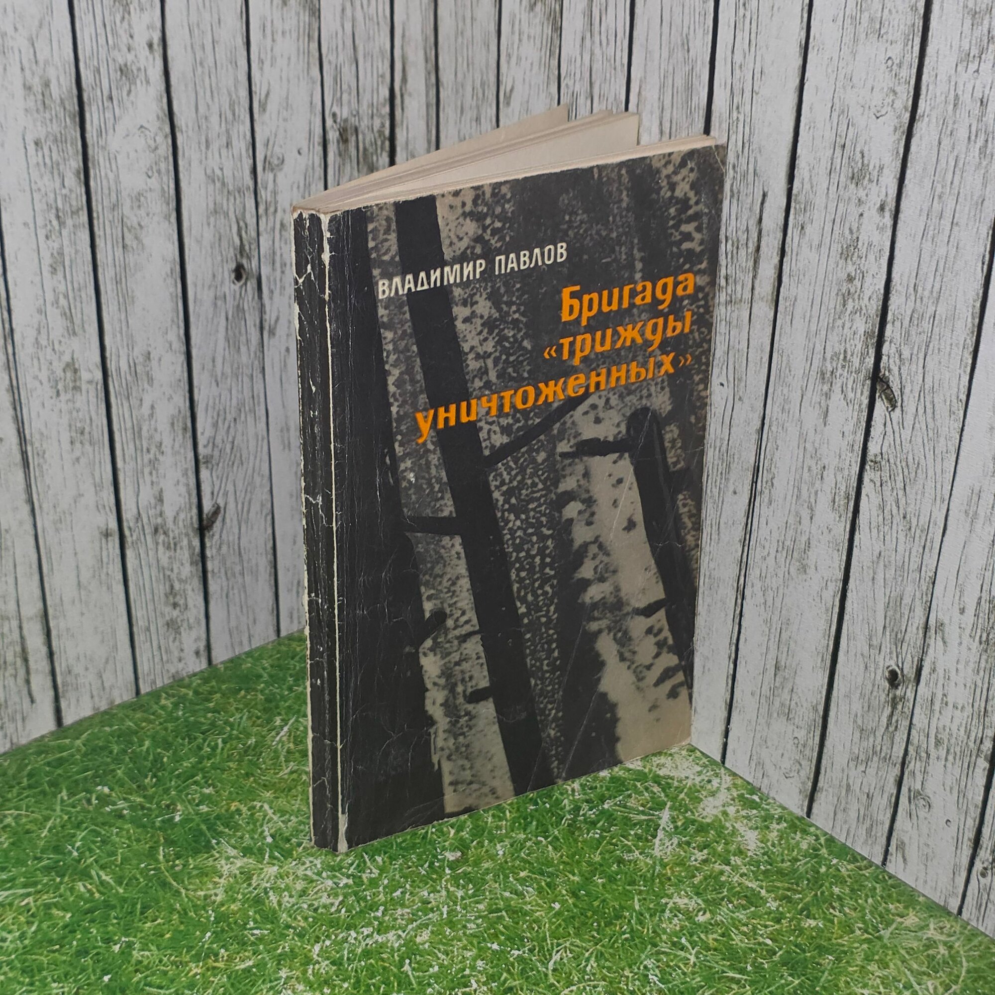 Книга " Бригада " трижды уничтоженных"