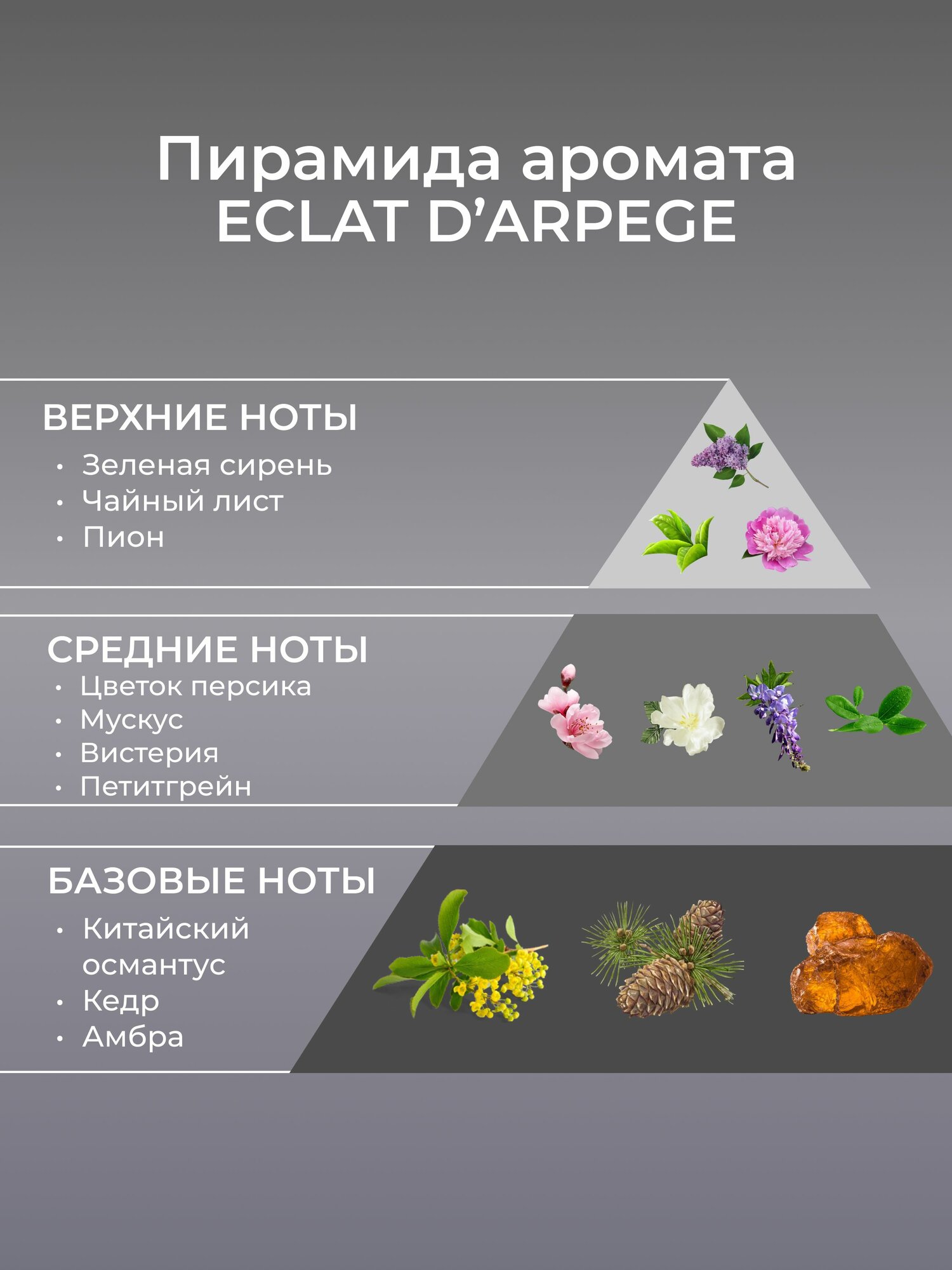 Bilanci Дезодорант 50 мл — фото 1