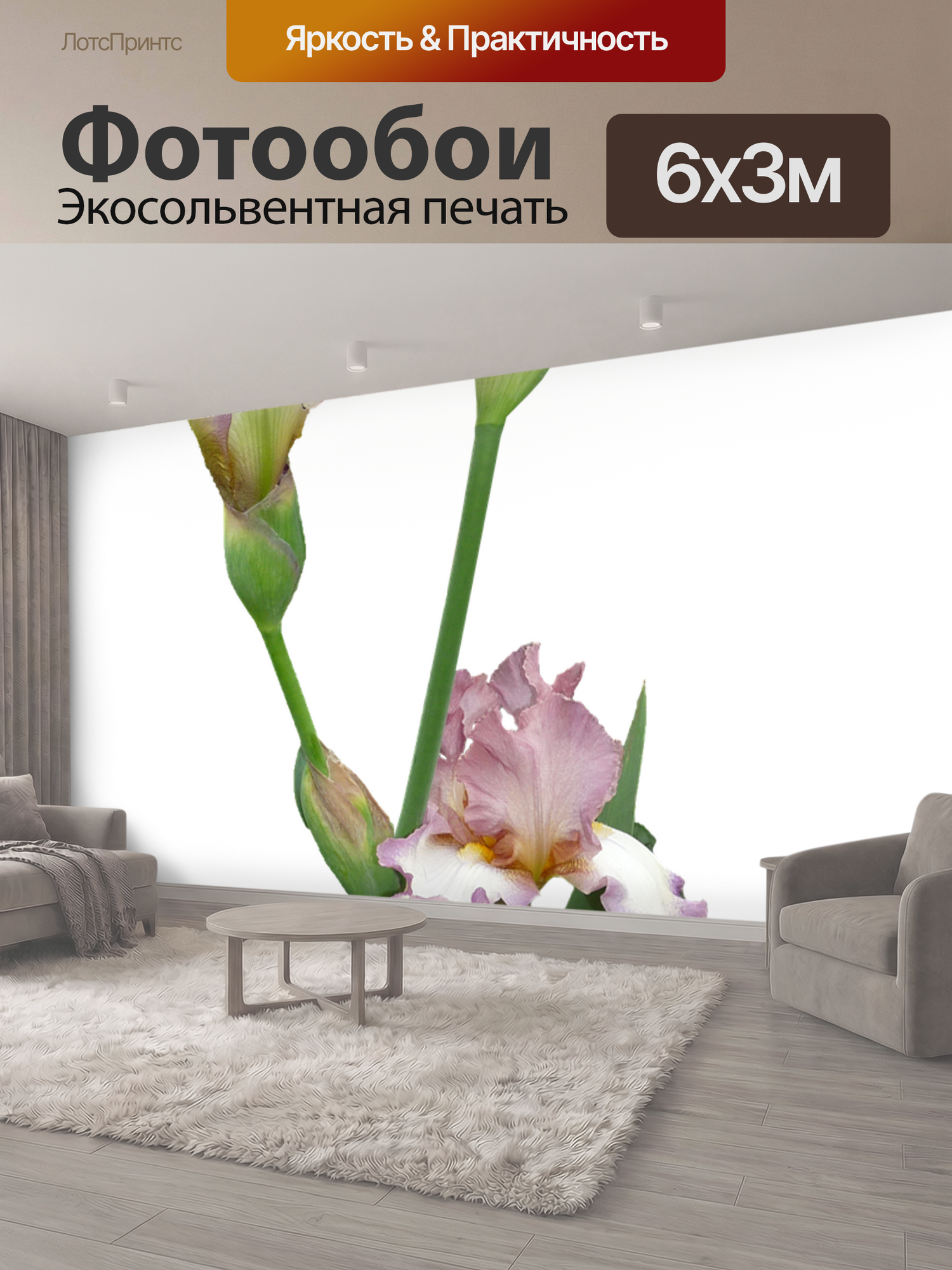 Фотообои "Ирис, завод, цветок" 600x300 см. экосольвентная печать