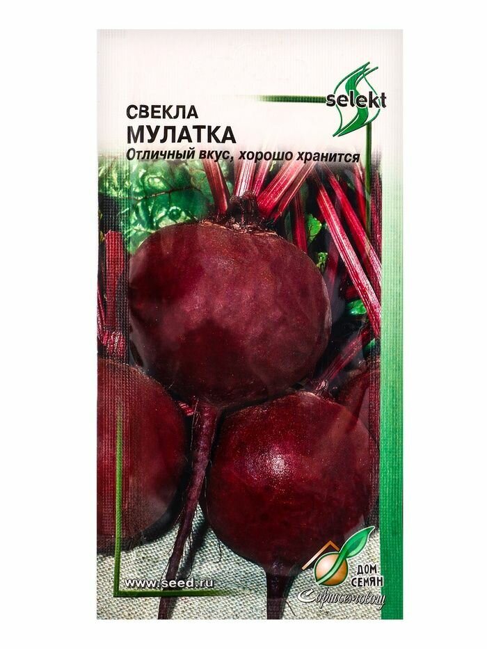 Набор семян Свекла Мулатка