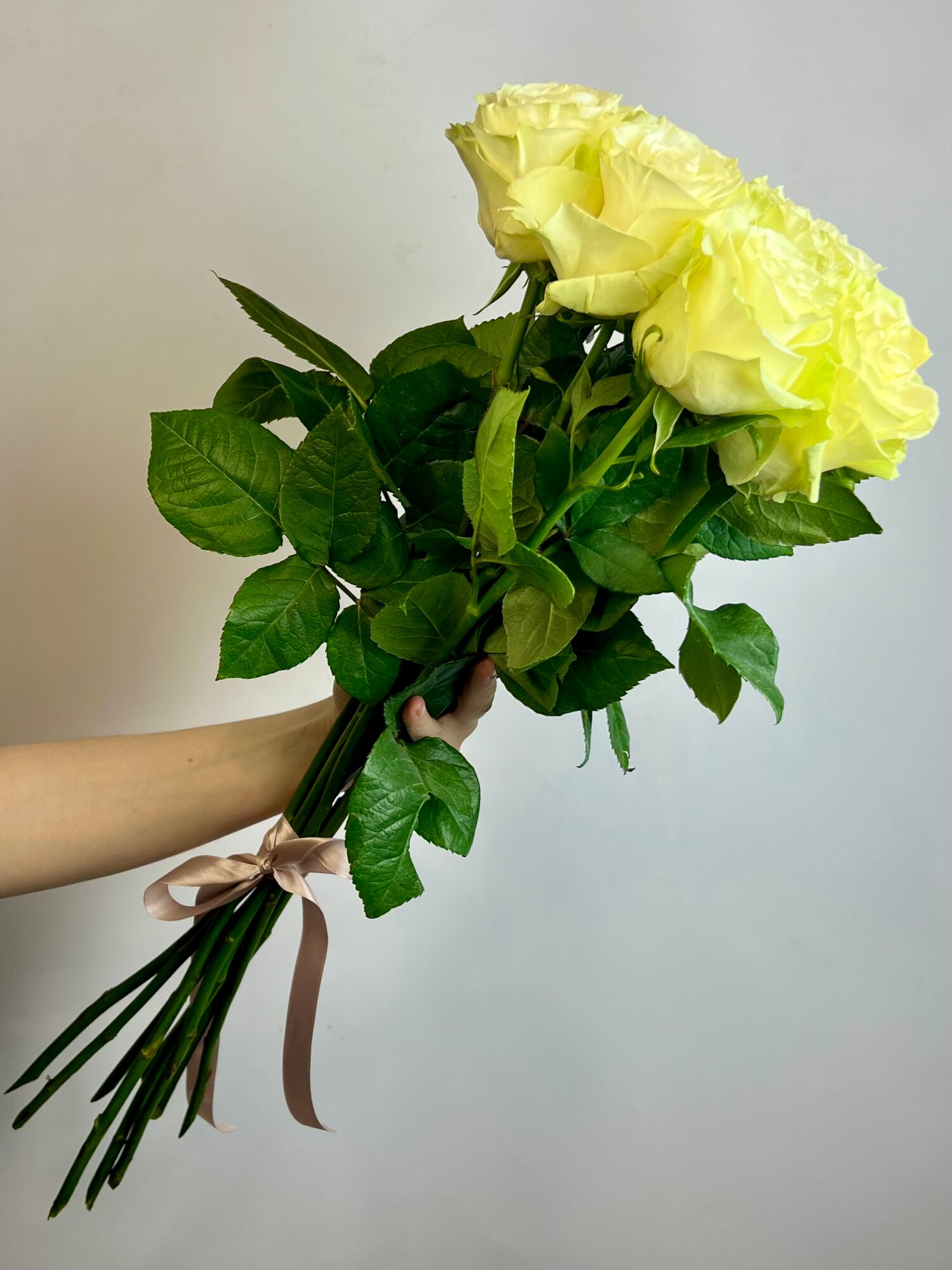 Лаконичный монобукет из 9 крупных роз сорта Мондиаль в лимонно-кремовом оттенке