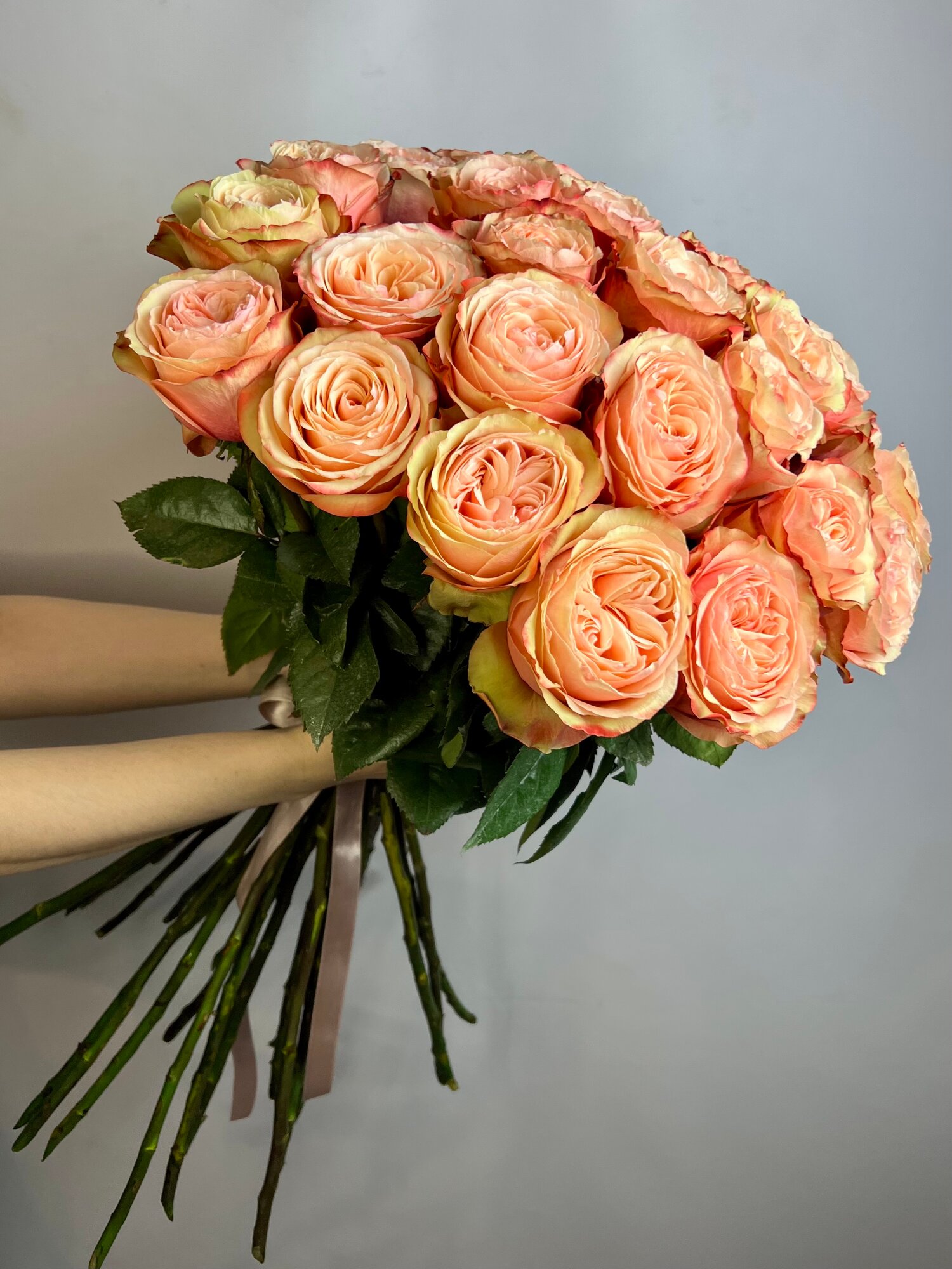 Яркий и романтичный монобукет из 31 пионовидной розы сорта Кахала в персиковом оттенке