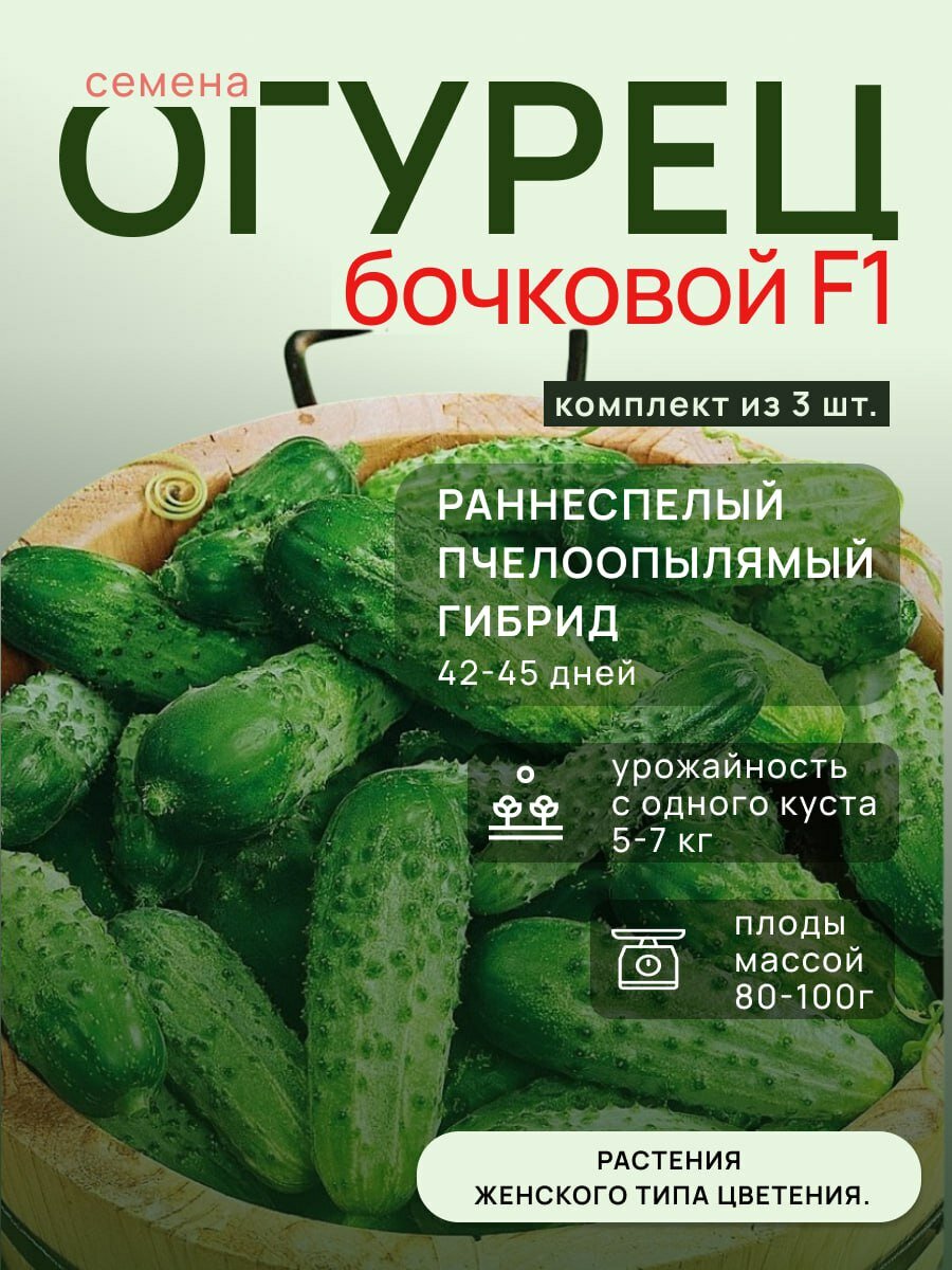 Семена огурцов сорт "Бочковой F1", для маринования и соления, 3 упаковки