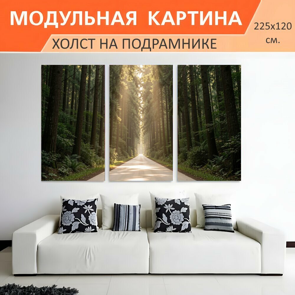 Модульная картина на холсте "Солнечная лесная аллея. Прямая дорога сквозь высокий хвойный лес, золотые лучи пробиваются через кроны." триптих на подрамнике 225х120 см. для интерьера