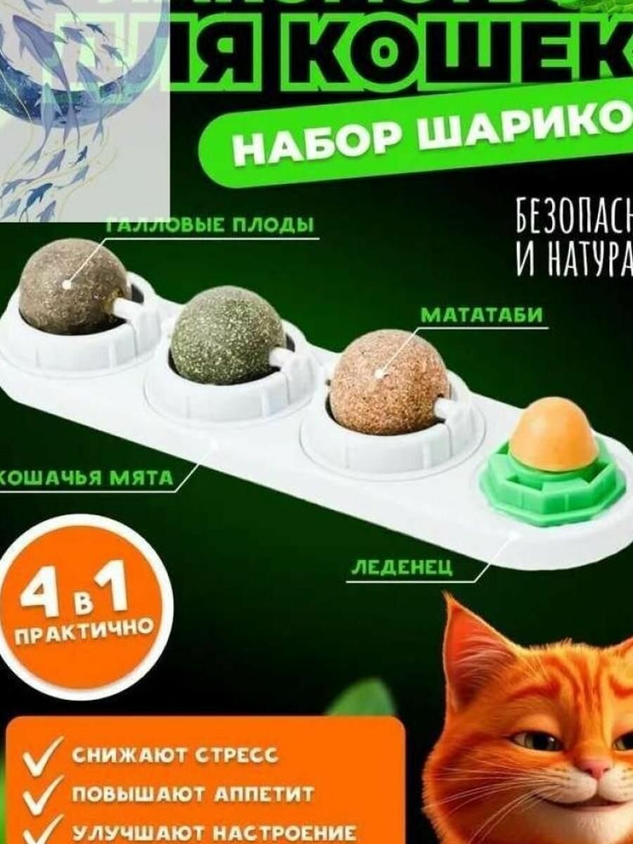 Кошачья мята в шарике для стен