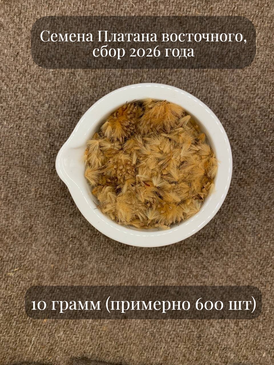 Семена Платана восточного, 10 грамм (примерно 600 шт)