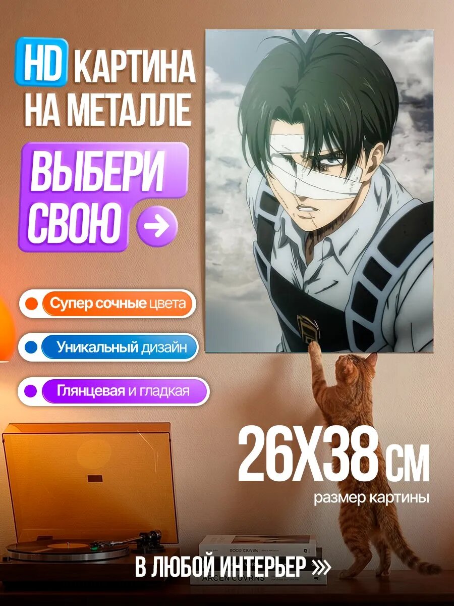 Картина на HD металле Капитан Леви