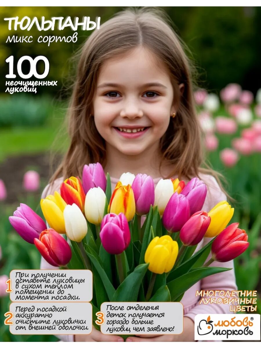 Тюльпан Луковица, Микс сортов 100 шт