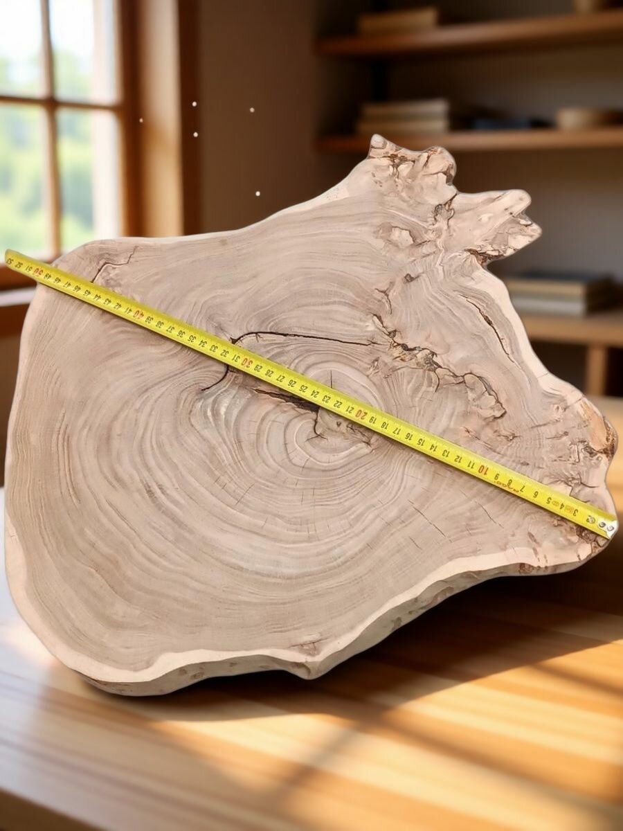 Спилы дерева Карагач. Для творчества и рукоделия.