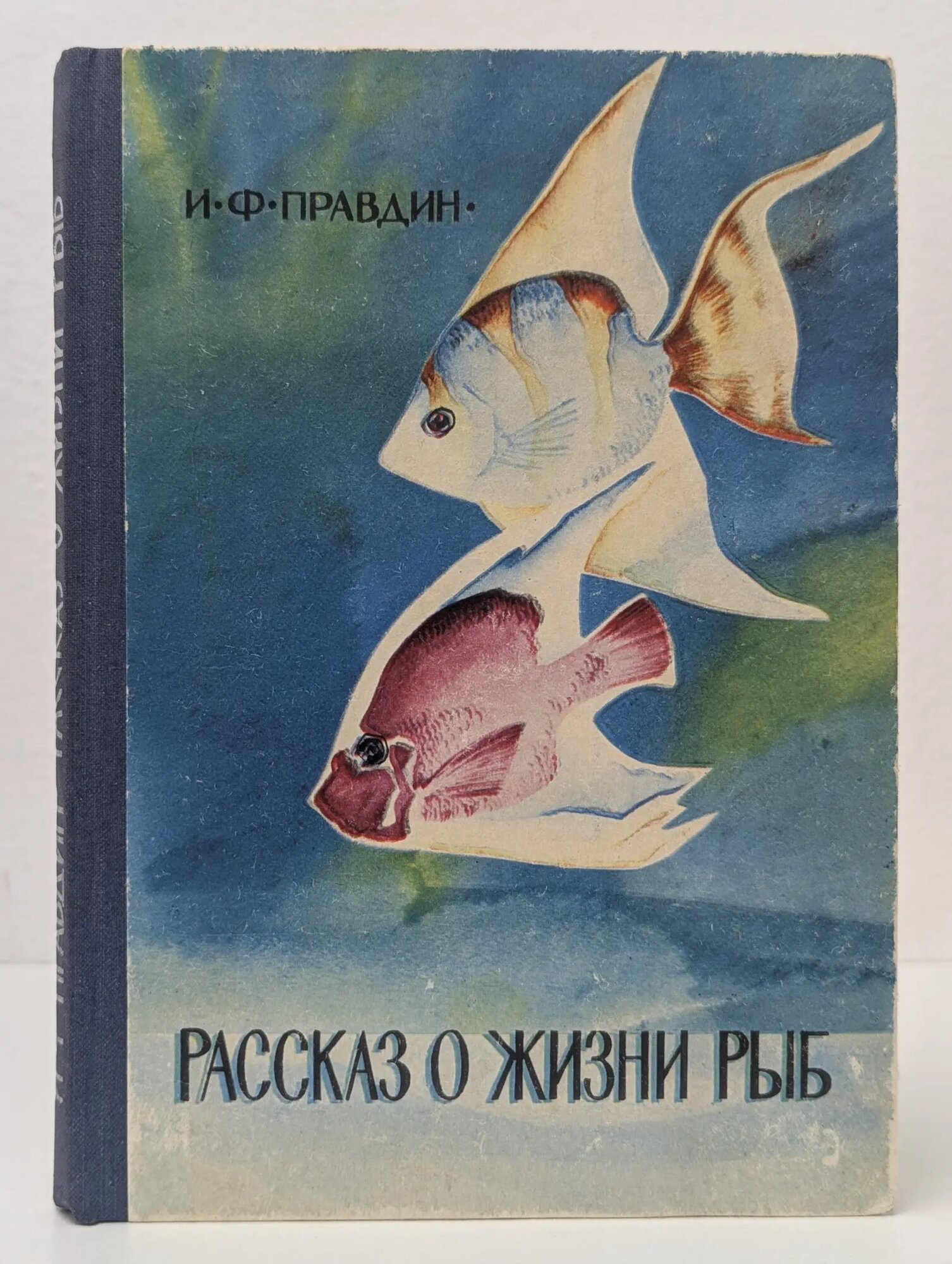 Рассказ о жизни рыб Правдин Иван Федорович 1972