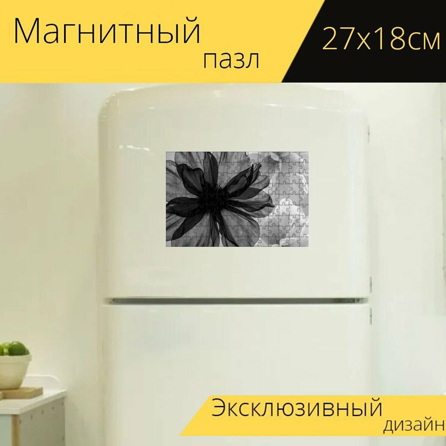 Магнитный пазл "Черно-белые цветы в контрасте. Элегантные крупные лепестки в монохромной гамме, прозрачные фактуры и мягкий светлый фон. Минималистичная." на холодильник 27 x 18 см.