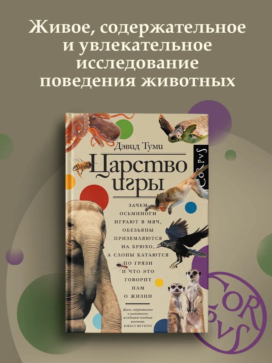 Царство игры