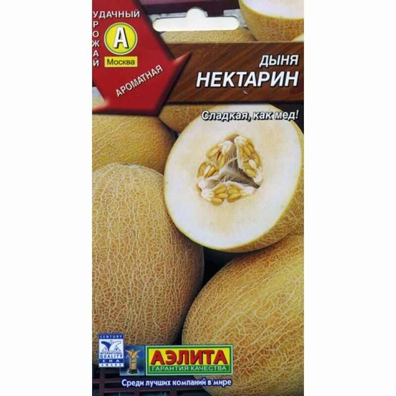 Дыня Нектарин