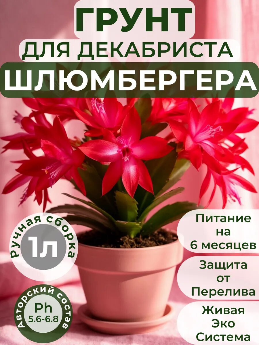 Готовый авторский грунт для Декабриста Шлюмбергера 1л