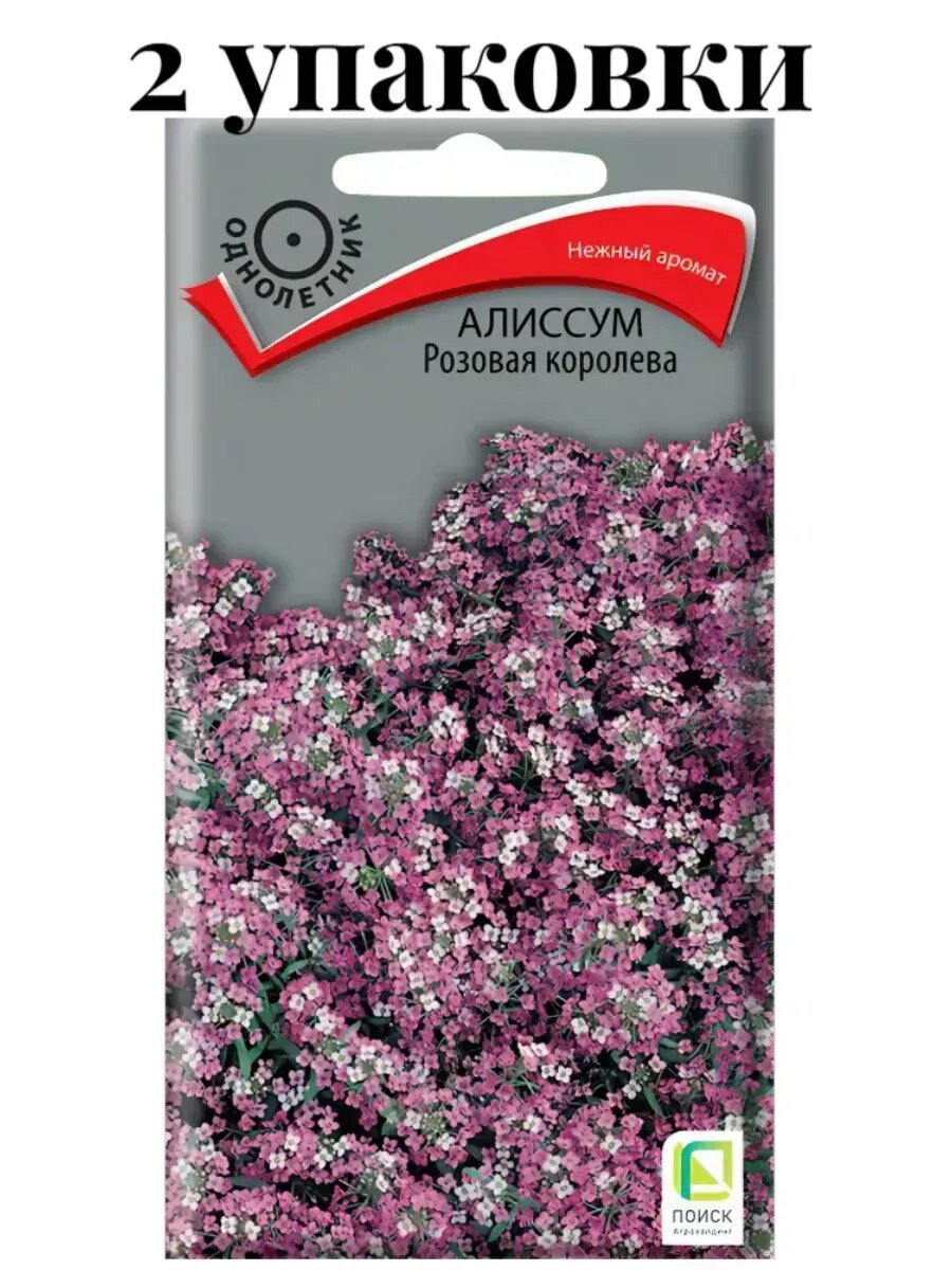 Семена цветов алиссум Розовая королева (2 упаковки)