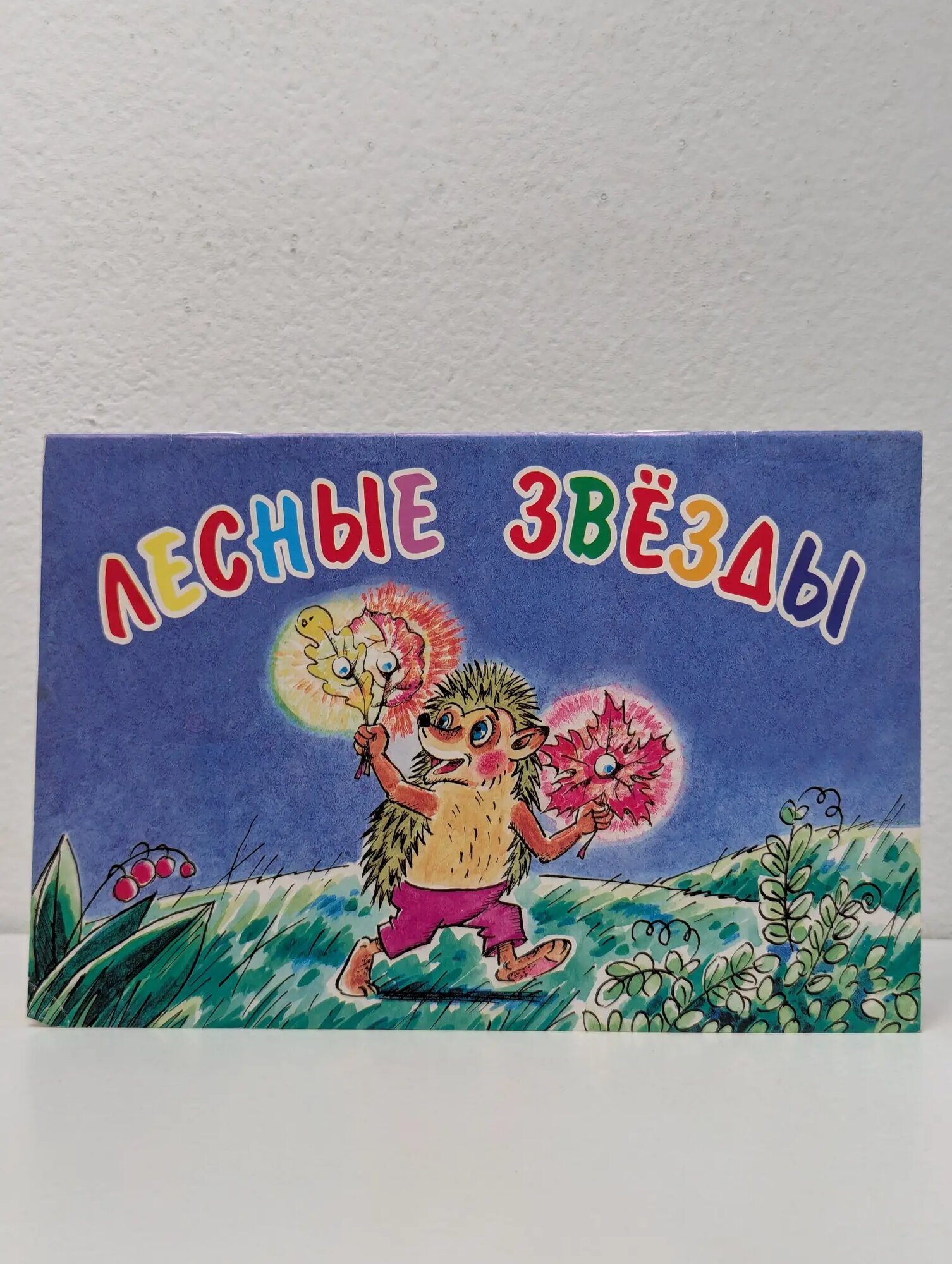Лесные звезды 2004